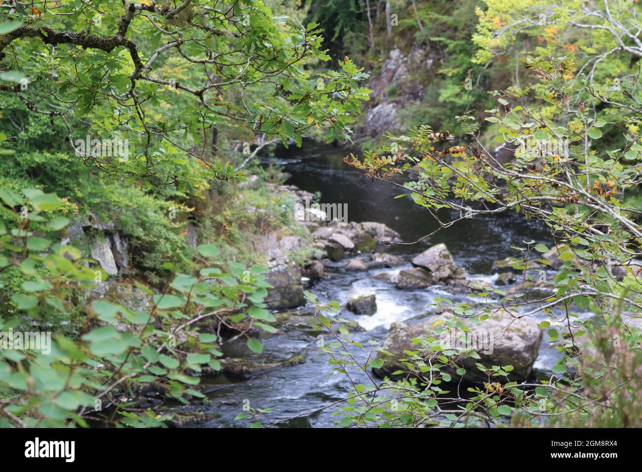 Rogie Falls / Blackwater River, Contin, Scottish Highlands Stock Photo ...