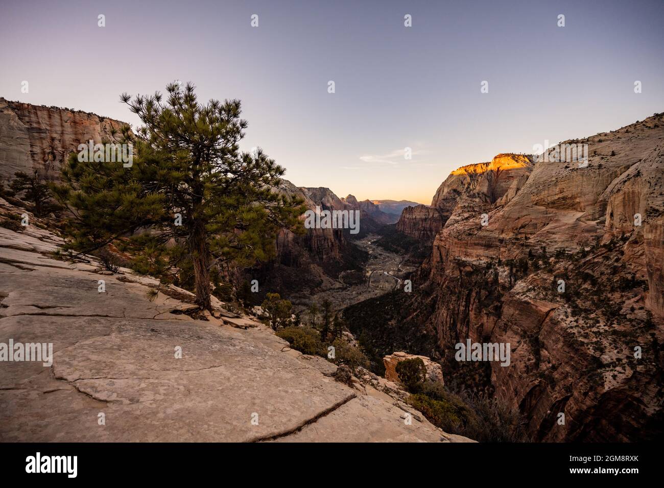 Valley of Zion Canyon From Angels Landing at sunrise Stock Photo - Alamy