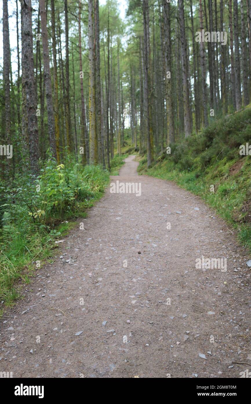 Rogie Falls / Blackwater River, Contin, Scottish Highlands Stock Photo ...