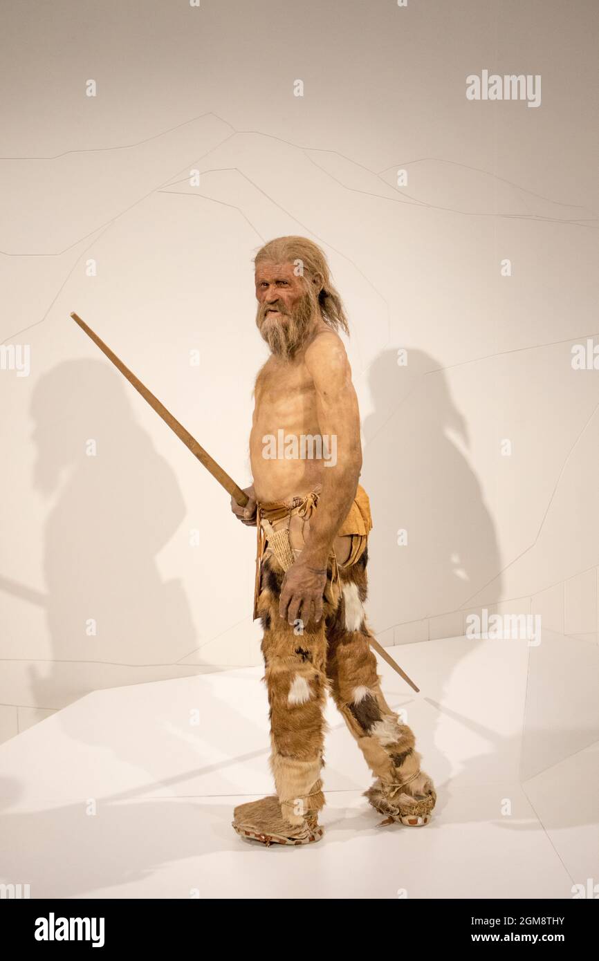 August 21, 2021: Life-scale reproduction of Iceman Ötzi at the ...