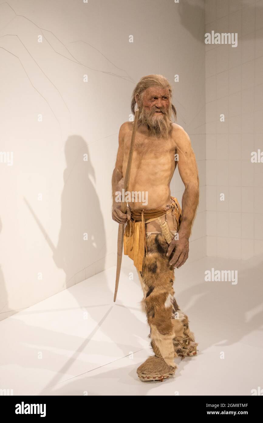 August 21, 2021: Life-scale reproduction of Iceman Ötzi at the ...