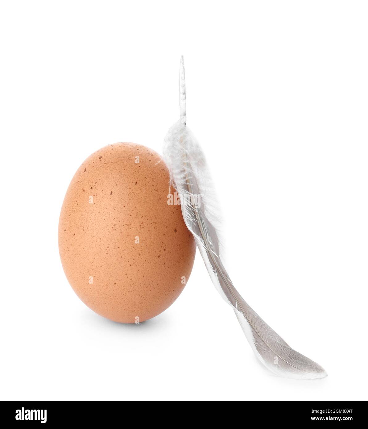 Chicken egg and feather on white background Stock Photo - Alamy