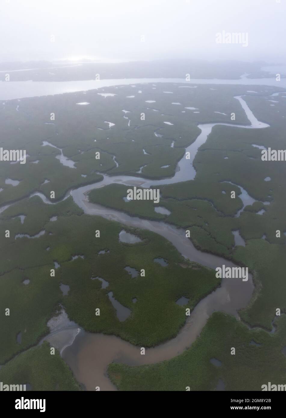 Channels meander through a foggy salt marsh in Pleasant Bay, Cape Cod ...