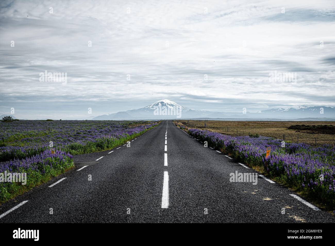 Straight lines in nature hi-res stock photography and images - Alamy