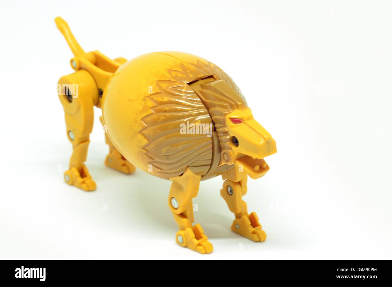 Plastic toy lion figurine isolated on white background Stock Photo - Alamy