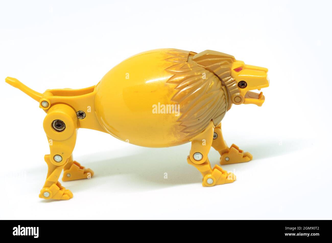 Plastic toy lion figurine isolated on white background Stock Photo - Alamy