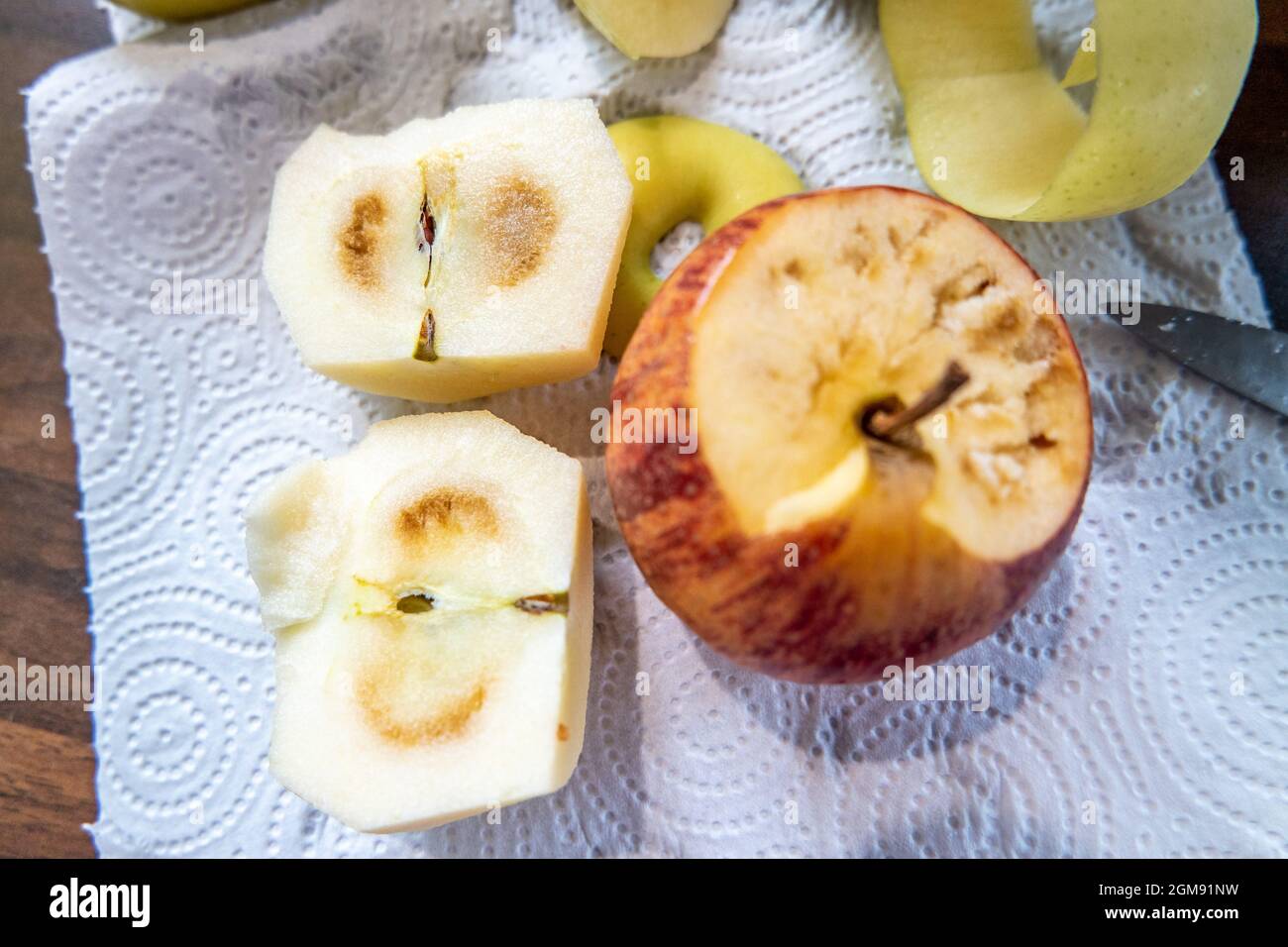 Rotten apple looking good from outside but rotten from inside Stock ...