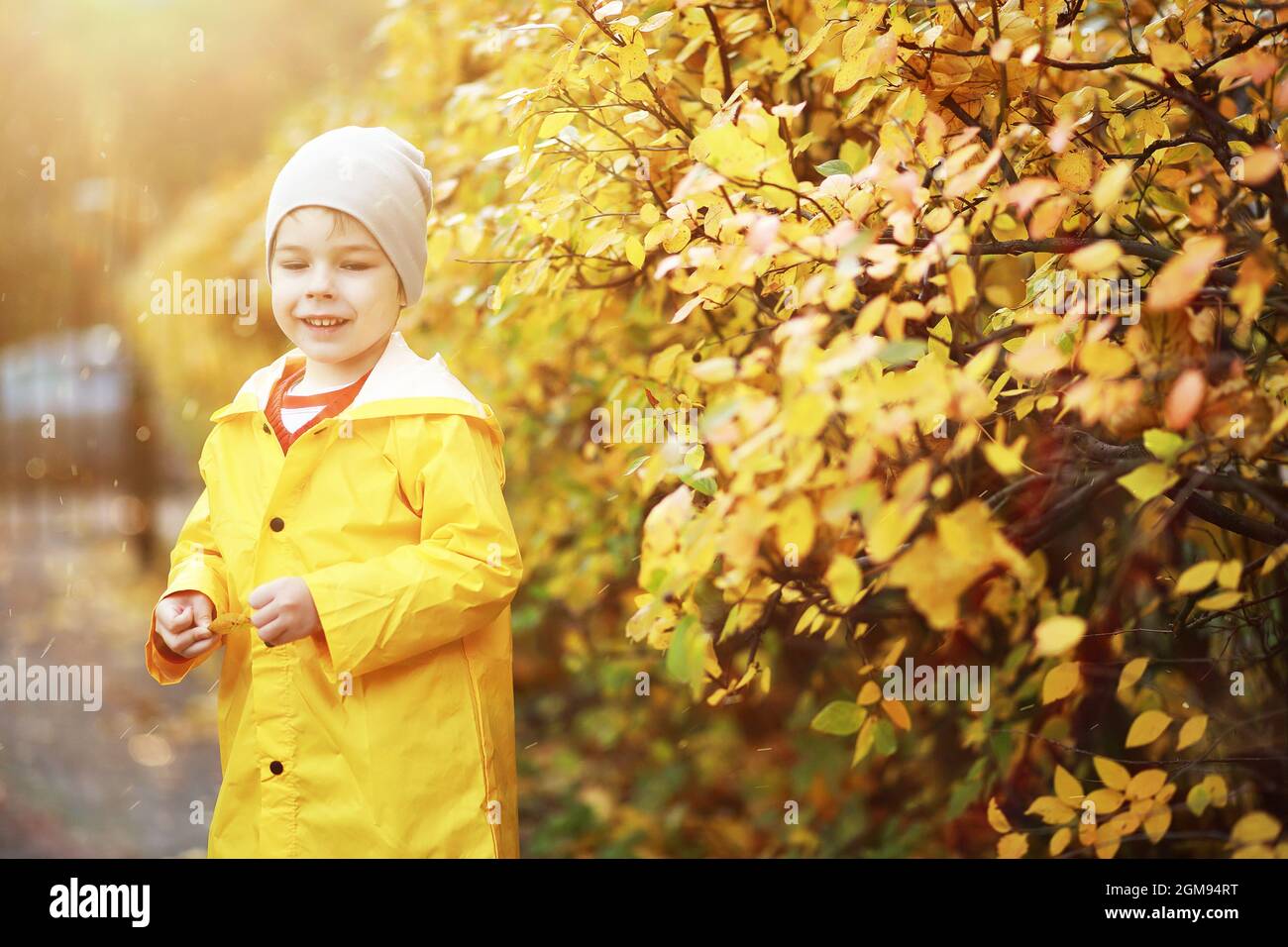 Children walk in the autumn park in the fall Stock Photo - Alamy