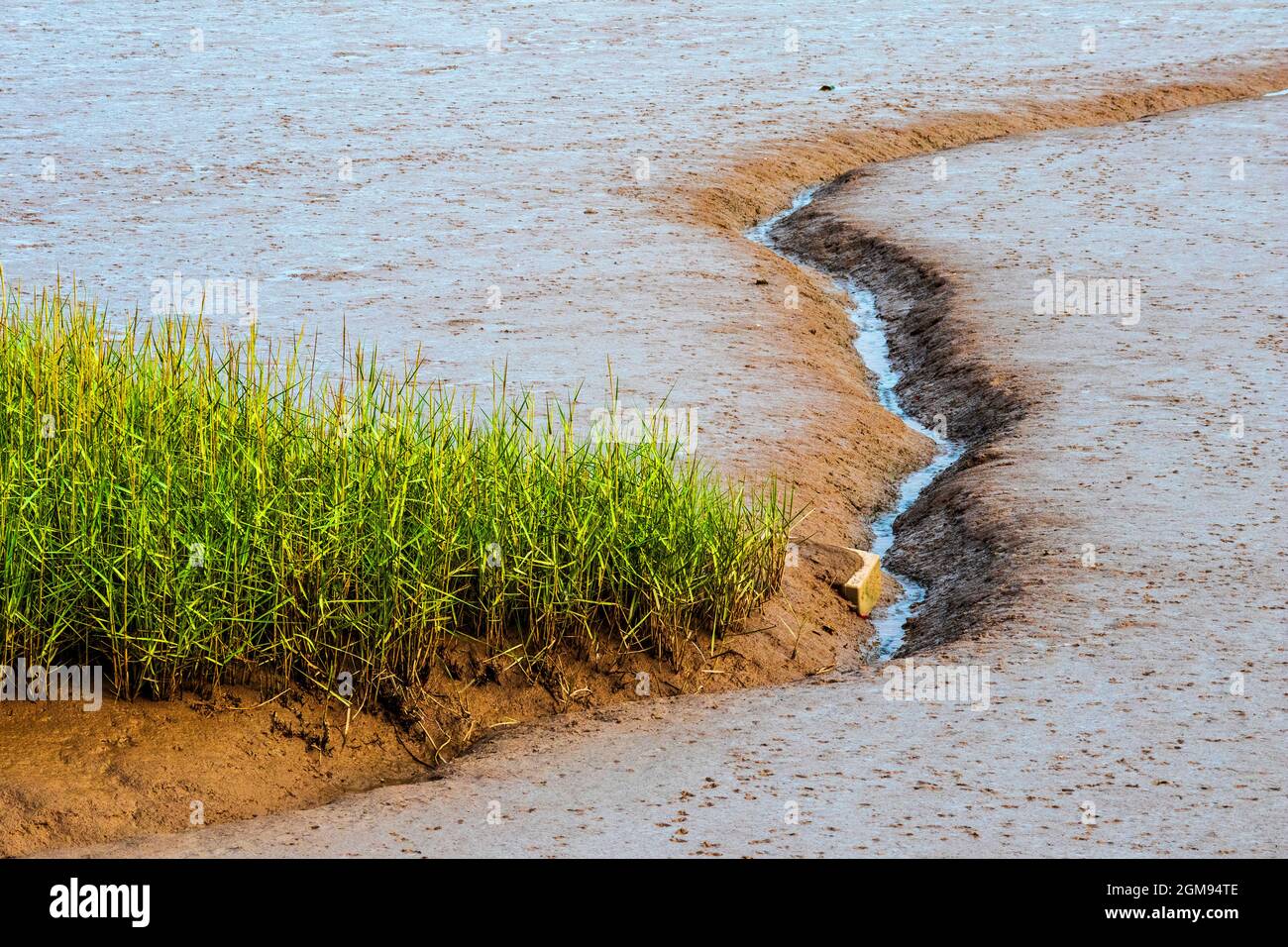 Drainage gullies hi-res stock photography and images - Alamy