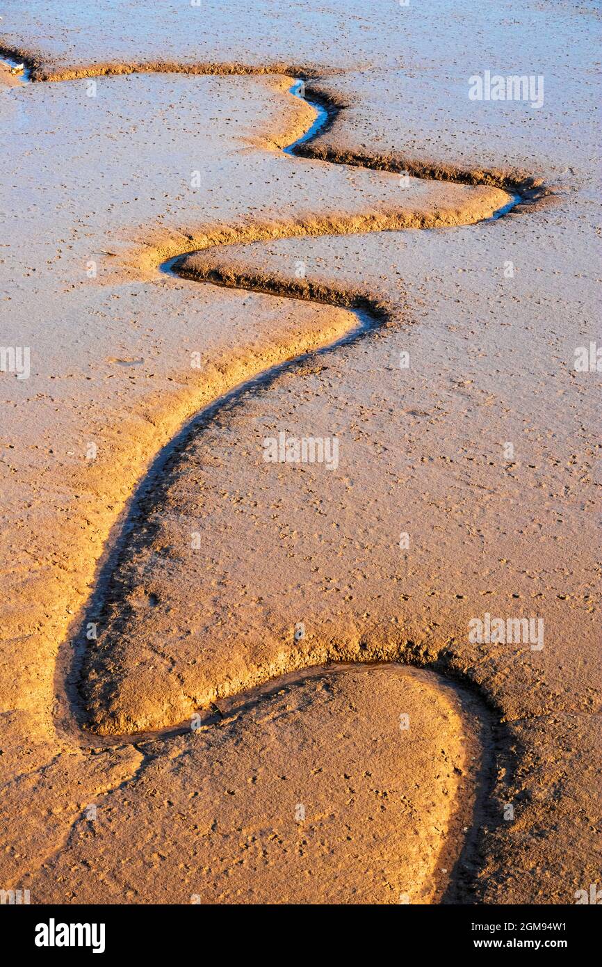 Deep Gullies in the Mud at Low Tide on River Medway at Rochester in ...