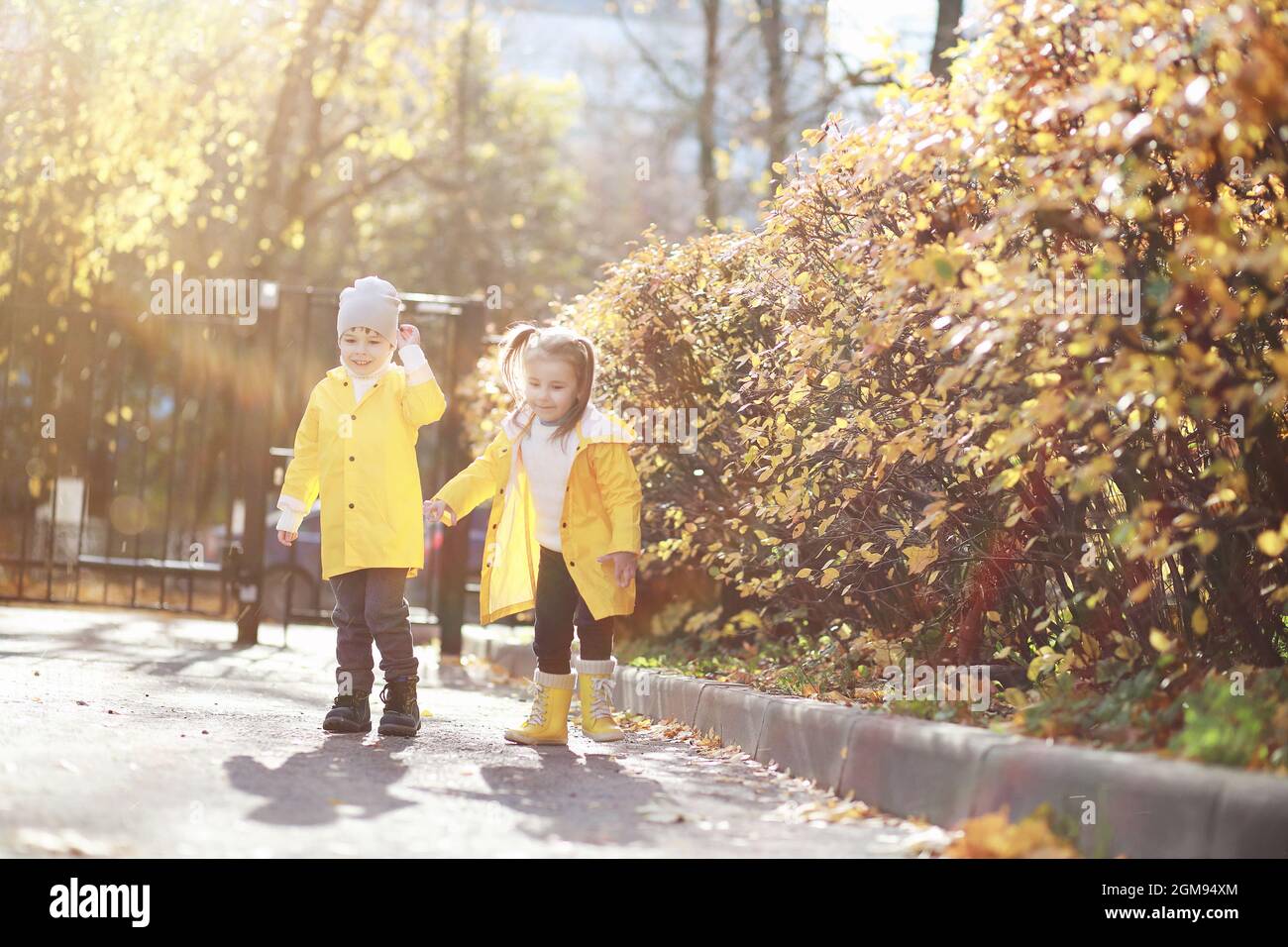 Children walk in the autumn park in the fall Stock Photo - Alamy