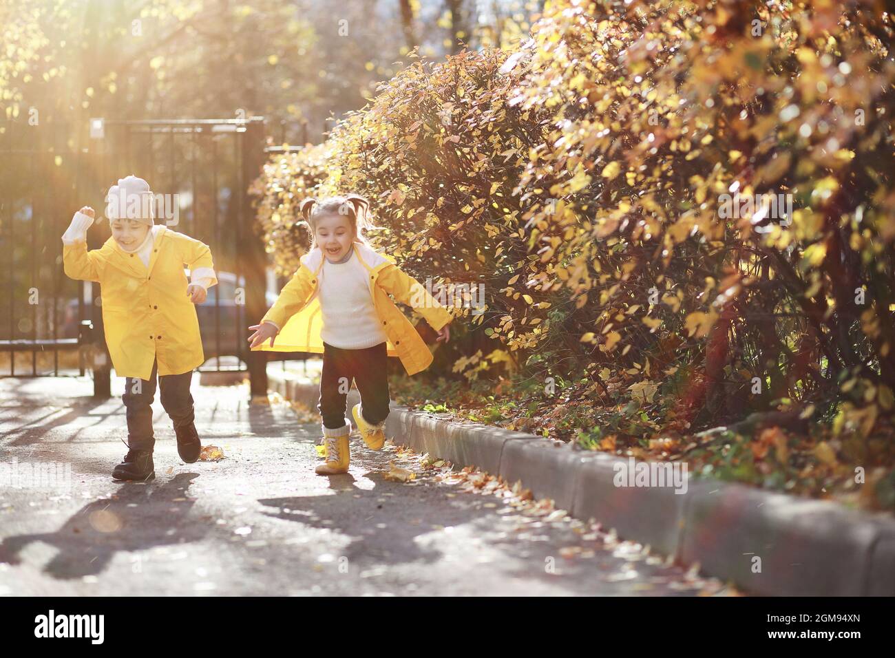 Children walk in the autumn park in the fall Stock Photo - Alamy