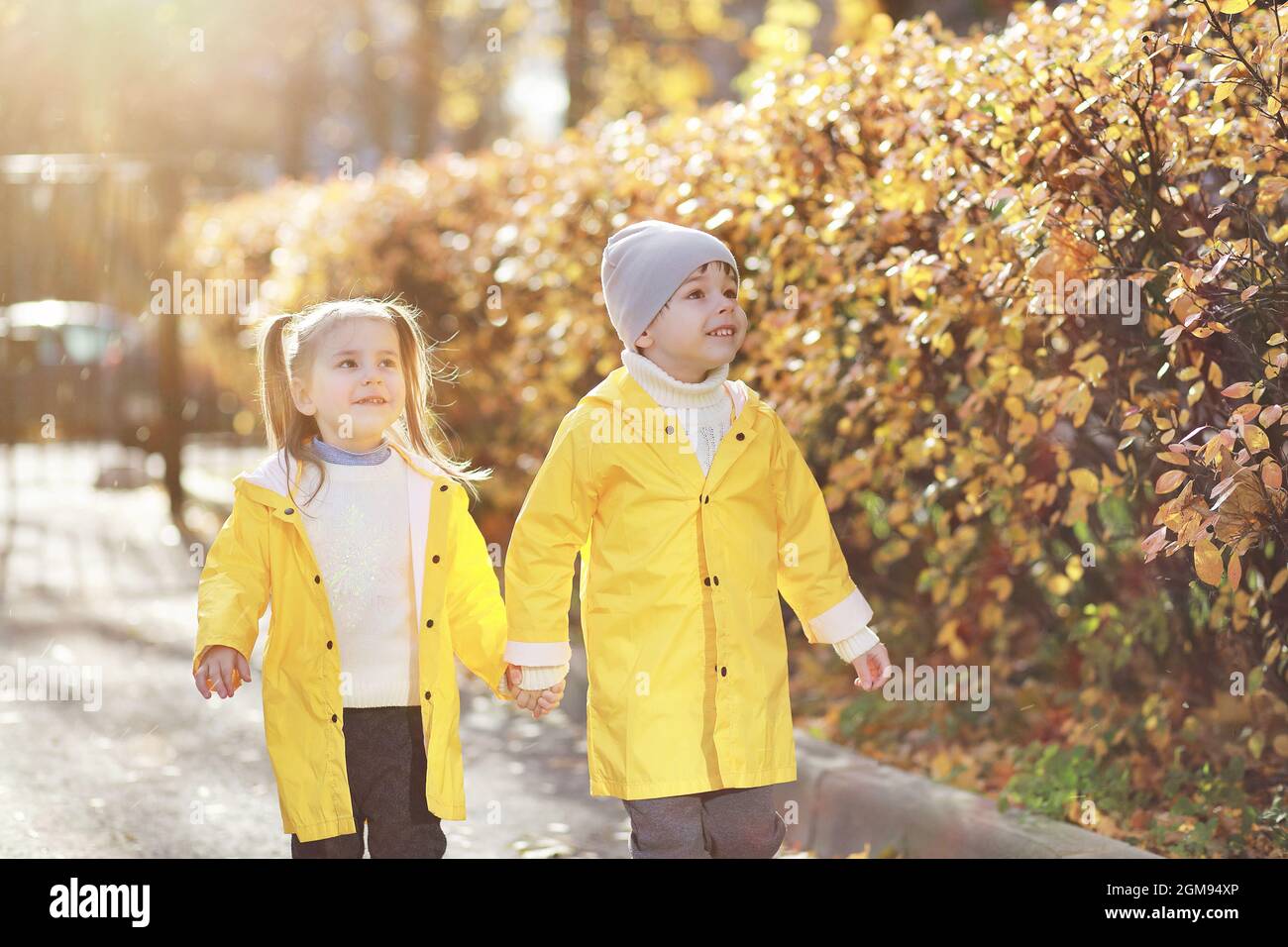 Children walk in the autumn park in the fall Stock Photo - Alamy