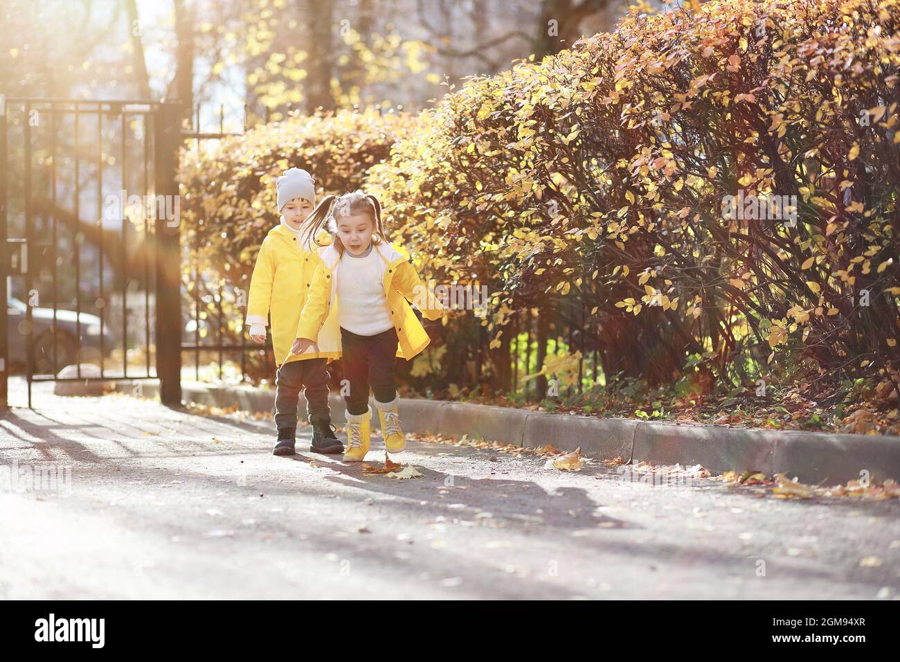 Children walk in the autumn park in the fall Stock Photo - Alamy
