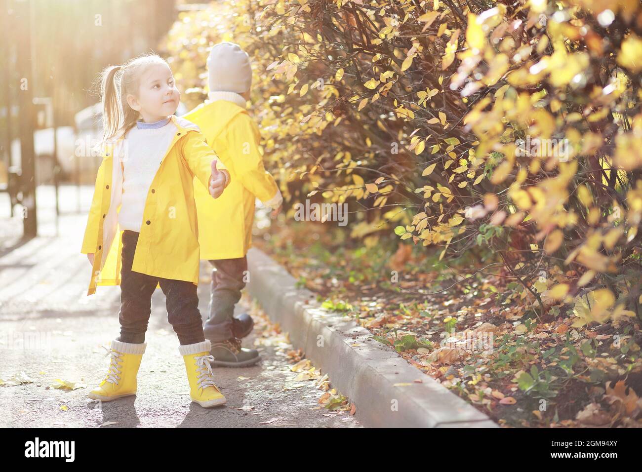 Children walk in the autumn park in the fall Stock Photo - Alamy