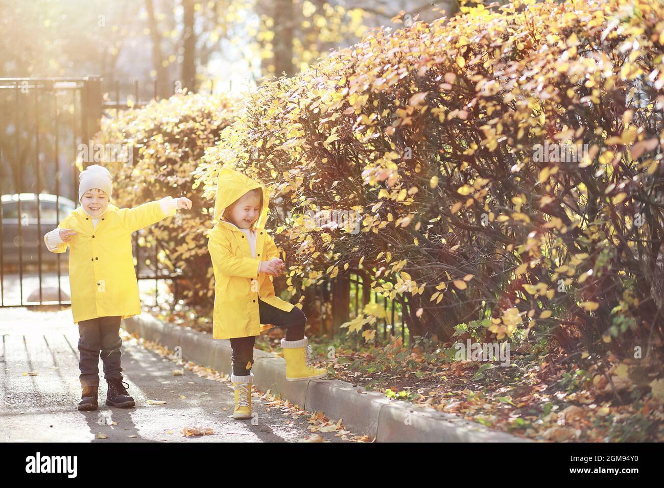 Children walk in the autumn park in the fall Stock Photo - Alamy