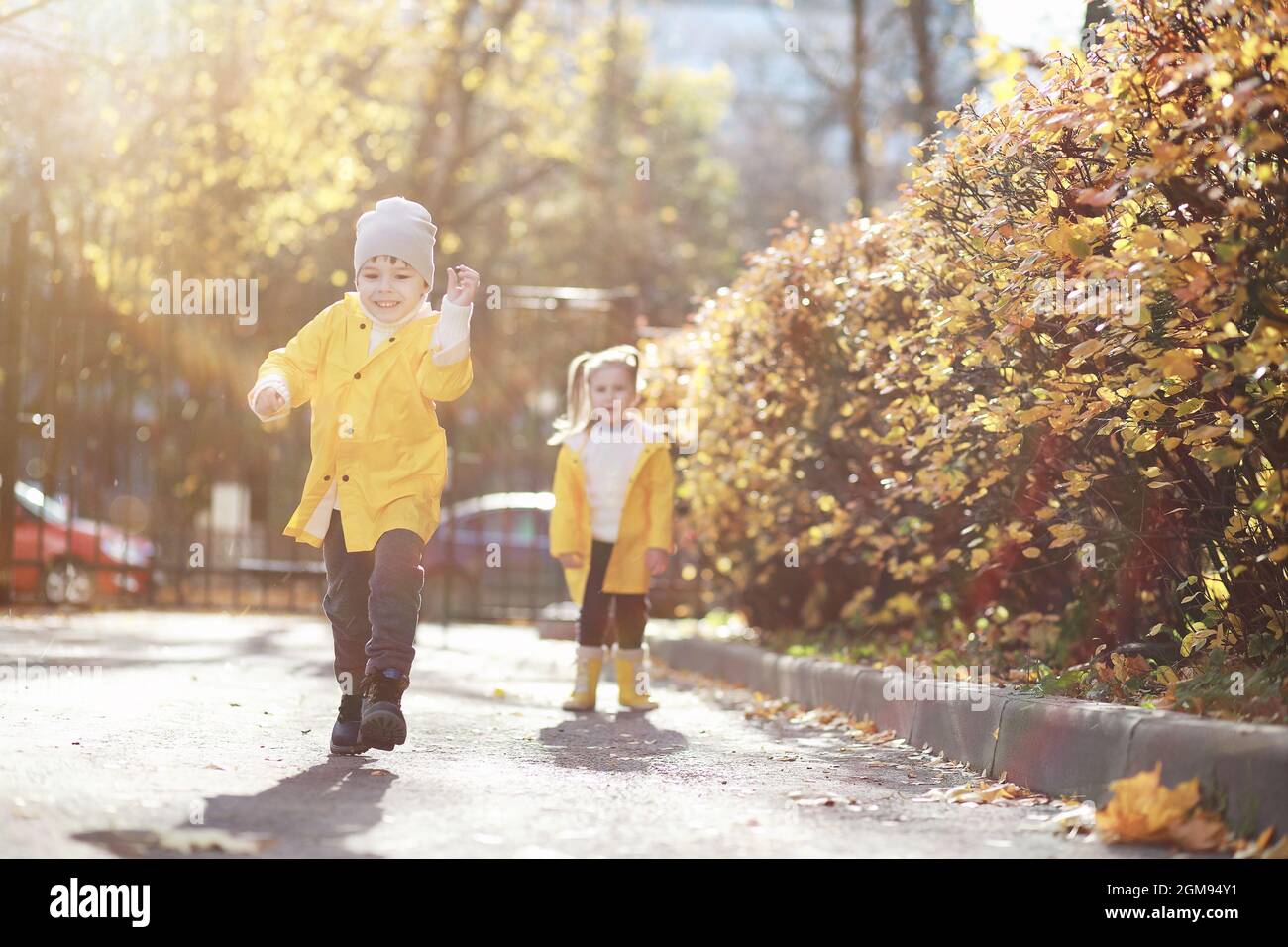 Children walk in the autumn park in the fall Stock Photo - Alamy