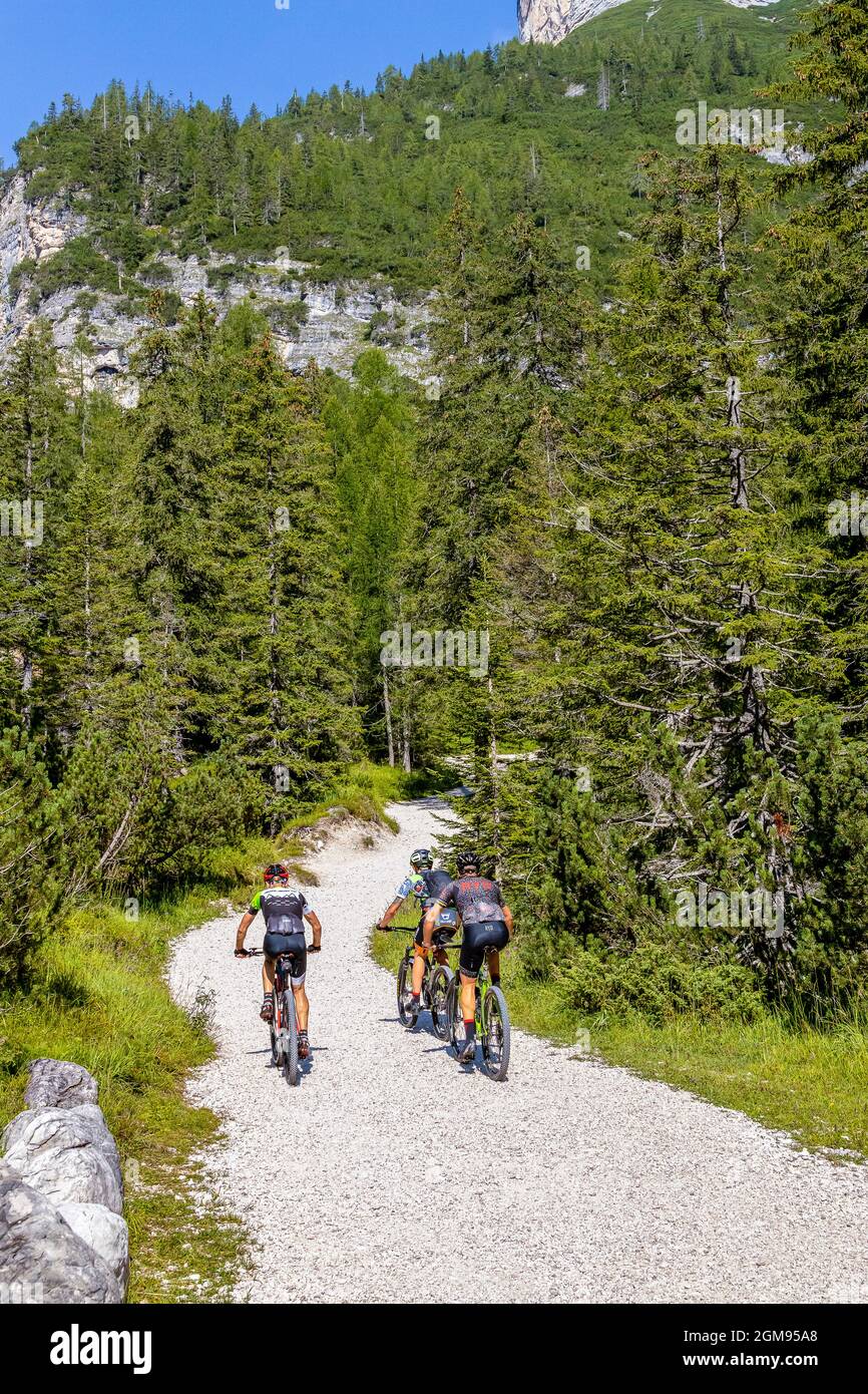 Sentiero conduce hi-res stock photography and images - Alamy