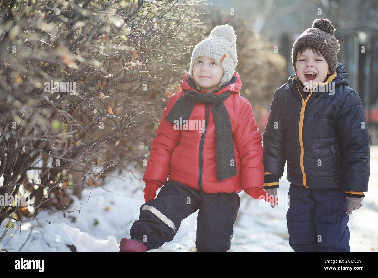 children in winter park play with snow Stock Photo - Alamy