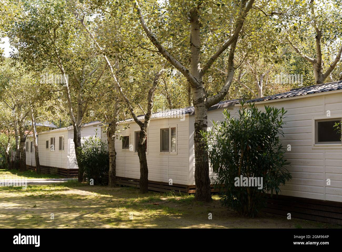 Vacation mobile houses on a campsite with trees around Stock Photo - Alamy