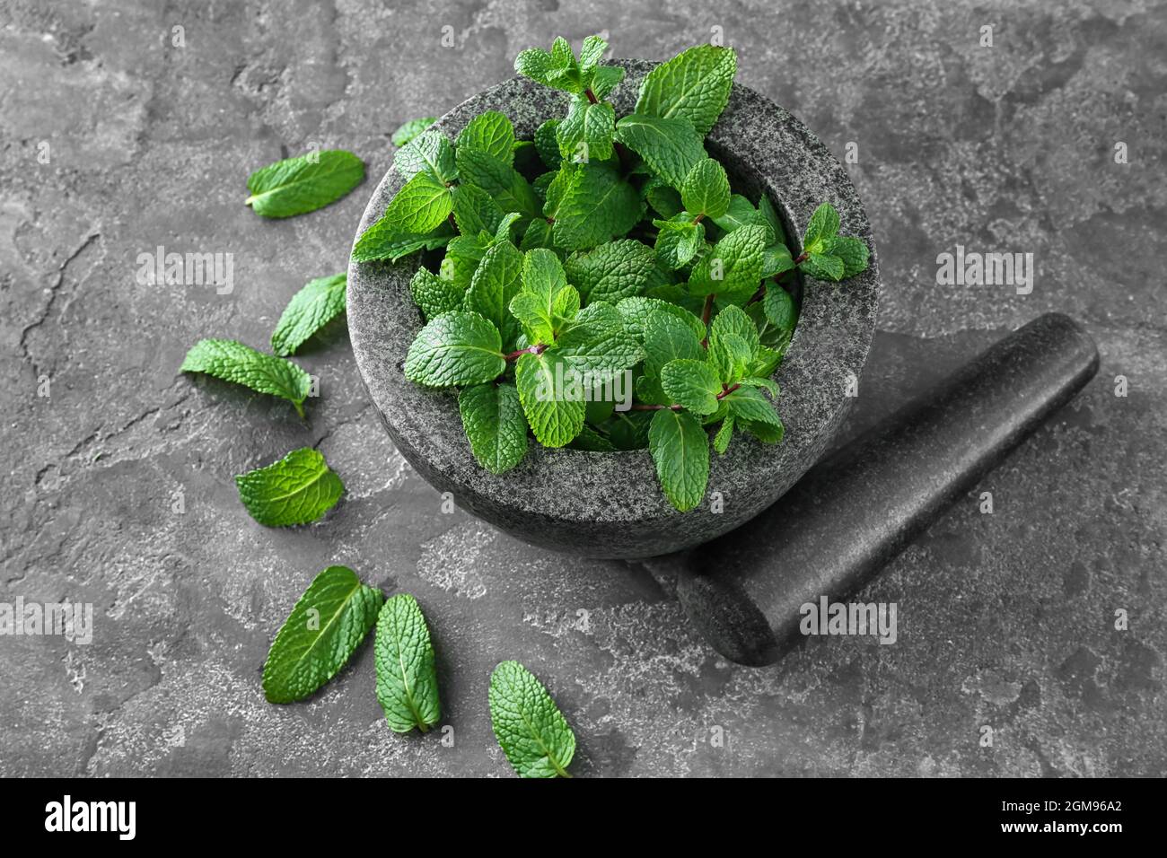 Mortar with fresh lemon balm on grey background Stock Photo - Alamy