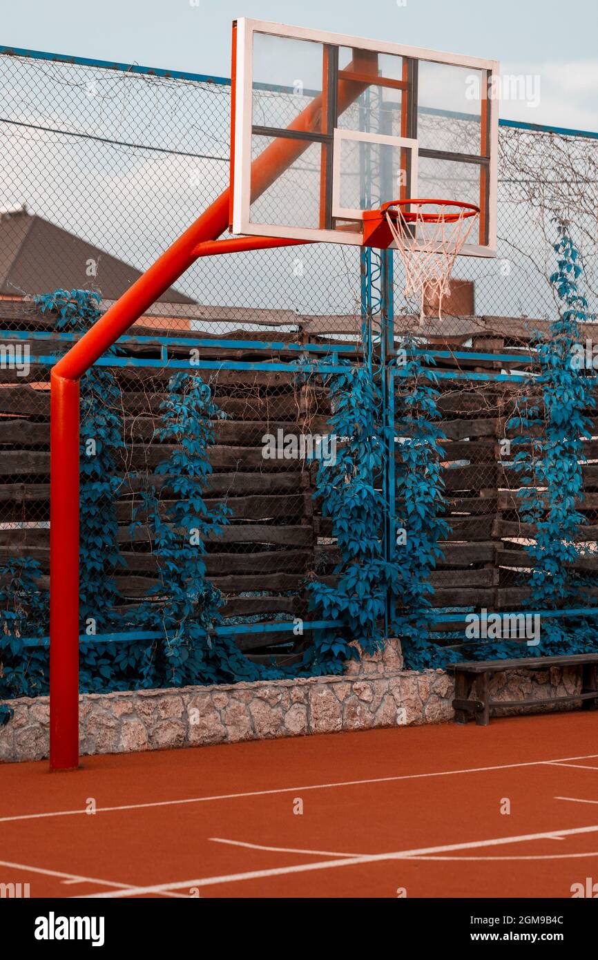 Red basketball hoop with net on with green leaves background. Sport ...
