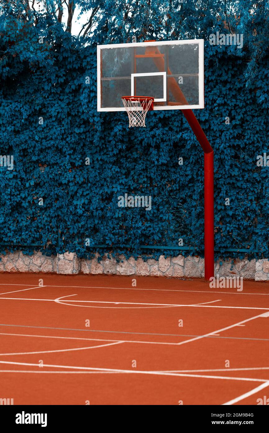 Red basketball hoop with net with green leaves background. Sport ...
