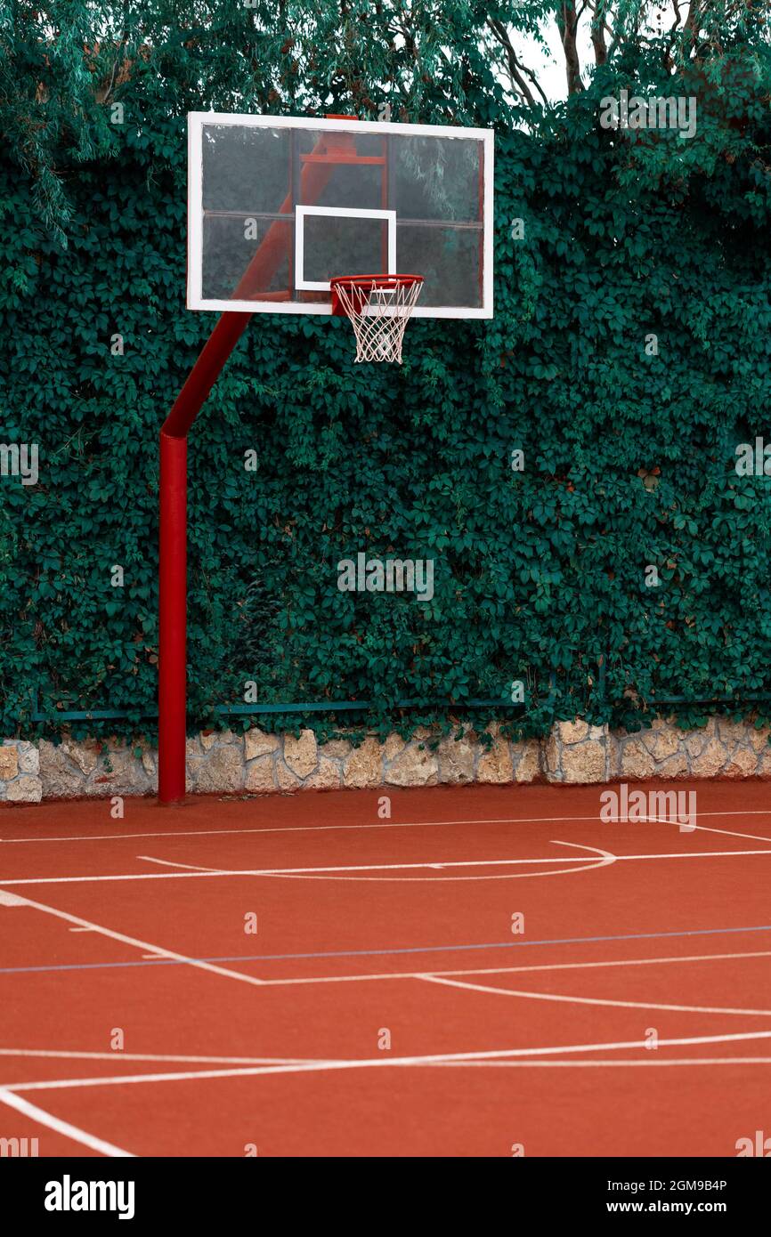 Red basketball hoop with net with green leaves background. Sport ...