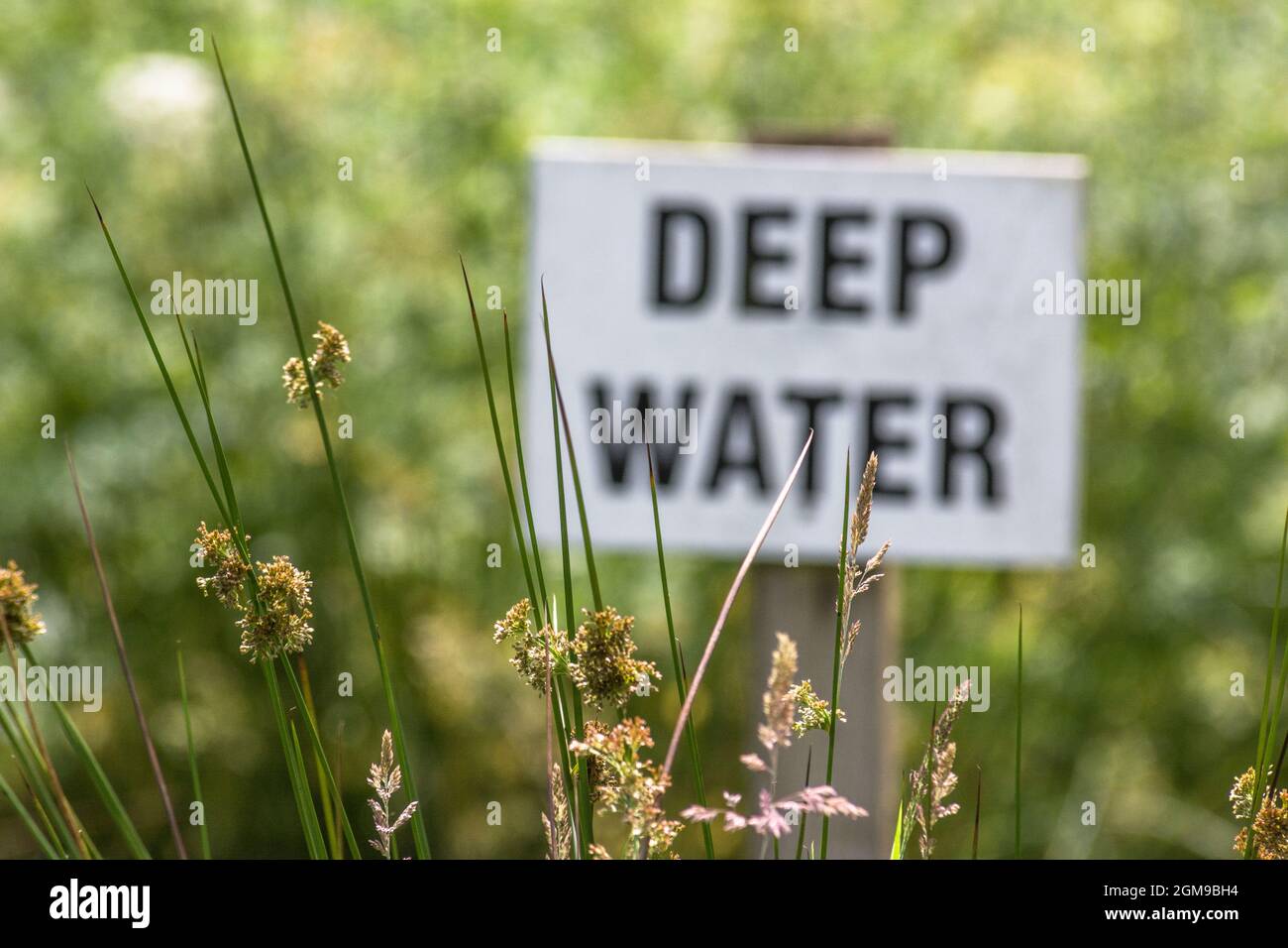 Deep Water warning sign at the side of a pond. Metaphor safety ...