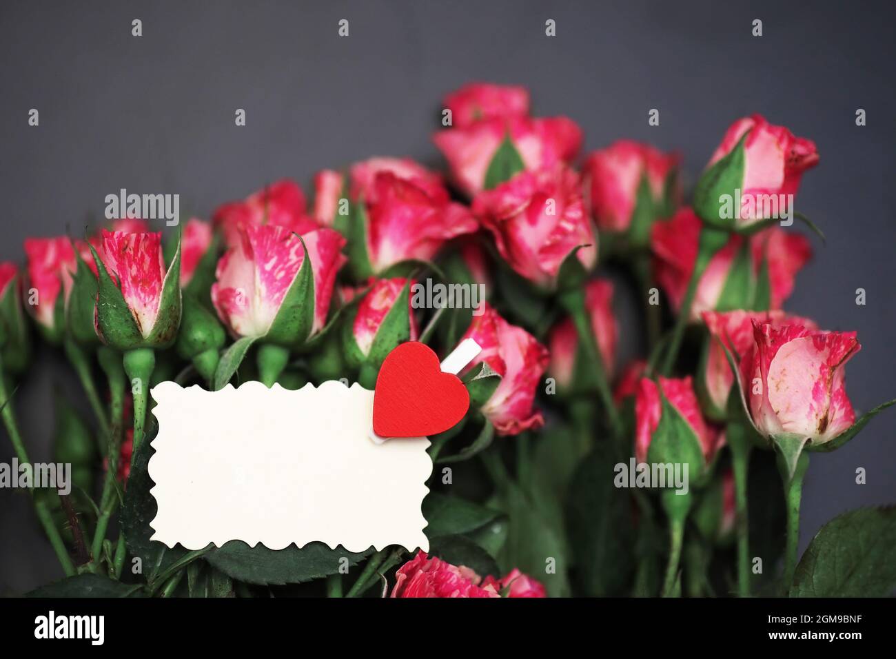 Bouquet of red roses on black matte background Stock Photo - Alamy