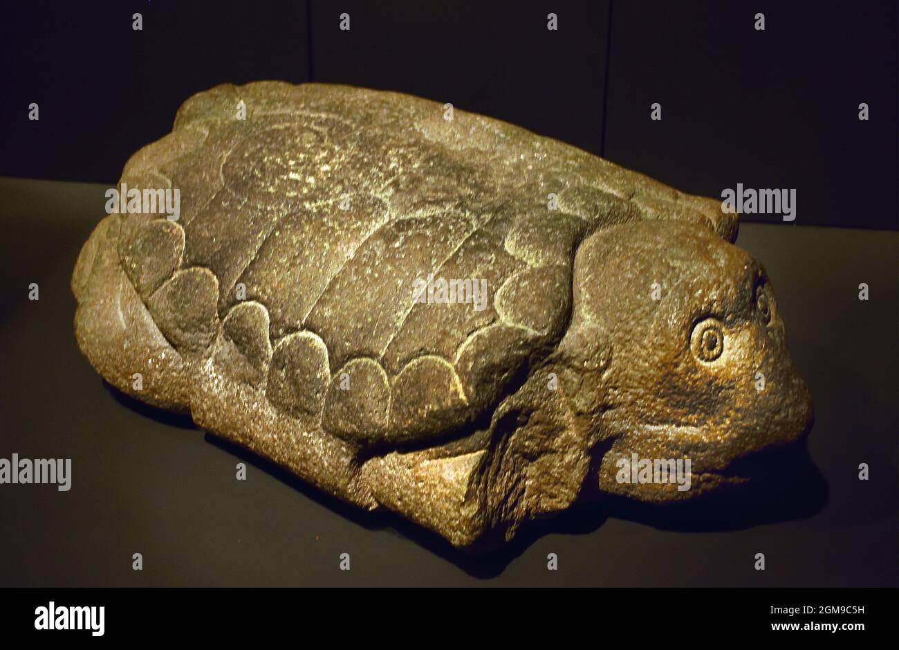 Turtle 14th century 1521 stone Museo Nacional de Antropologia Mexico ...