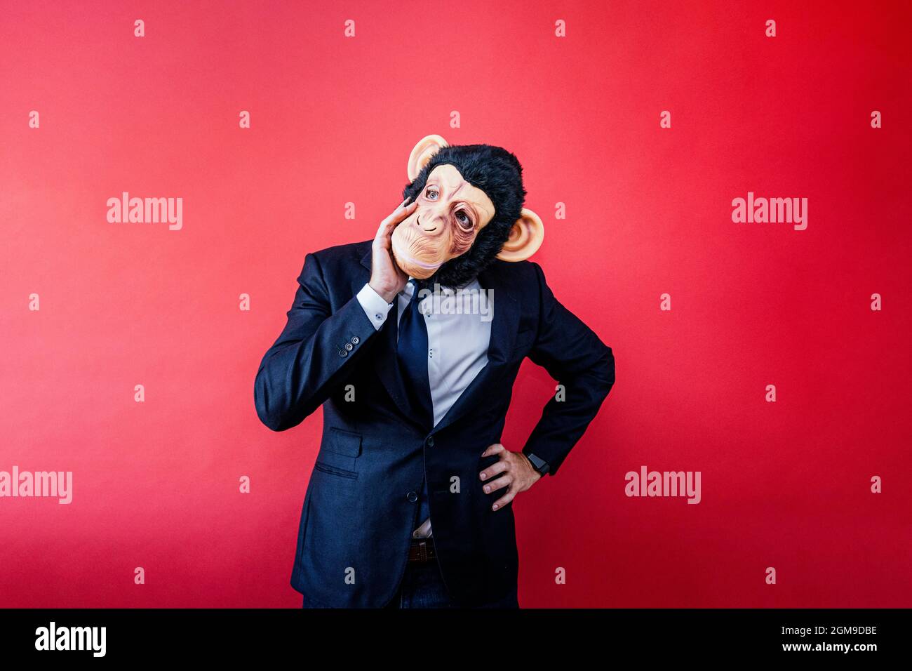 Man in monkey mask hi-res stock photography and images - Alamy