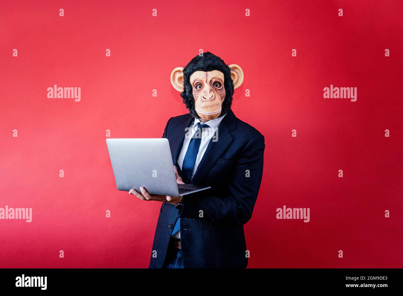 Man wearing gorilla mask hi-res stock photography and images - Alamy