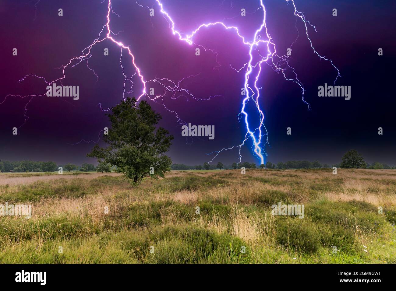 Editing of the natural landscape Balloërveld in the Dutch province of ...