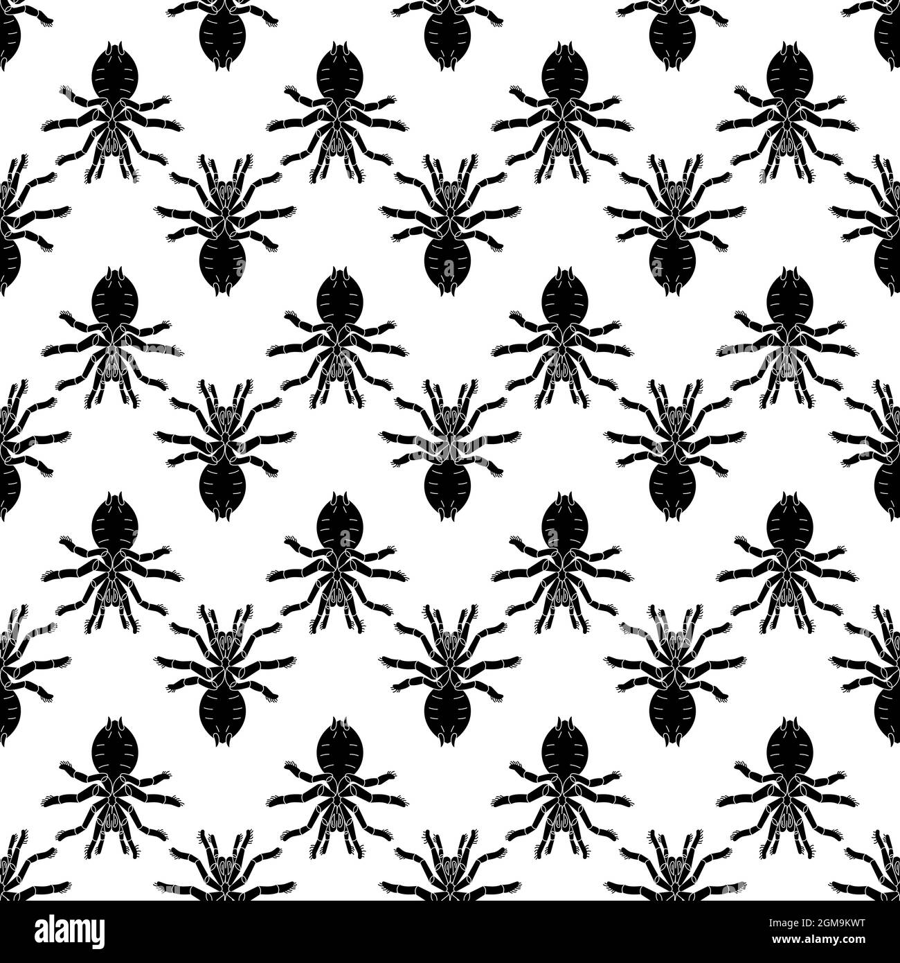 Fear spider pattern seamless background texture repeat wallpaper ...
