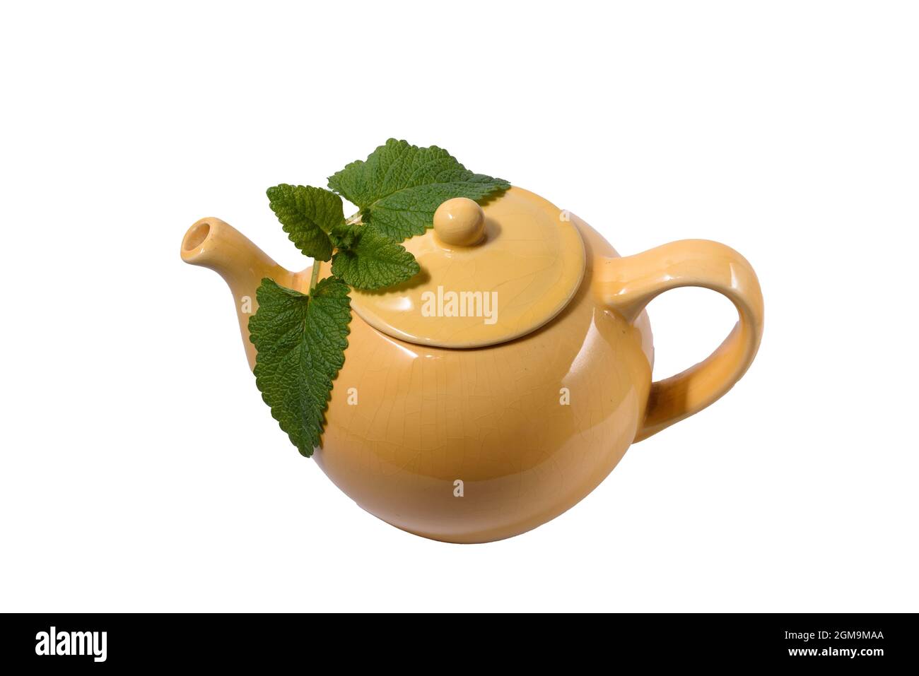 Yellow teapot green lemon balm leaves. isolated on white background ...