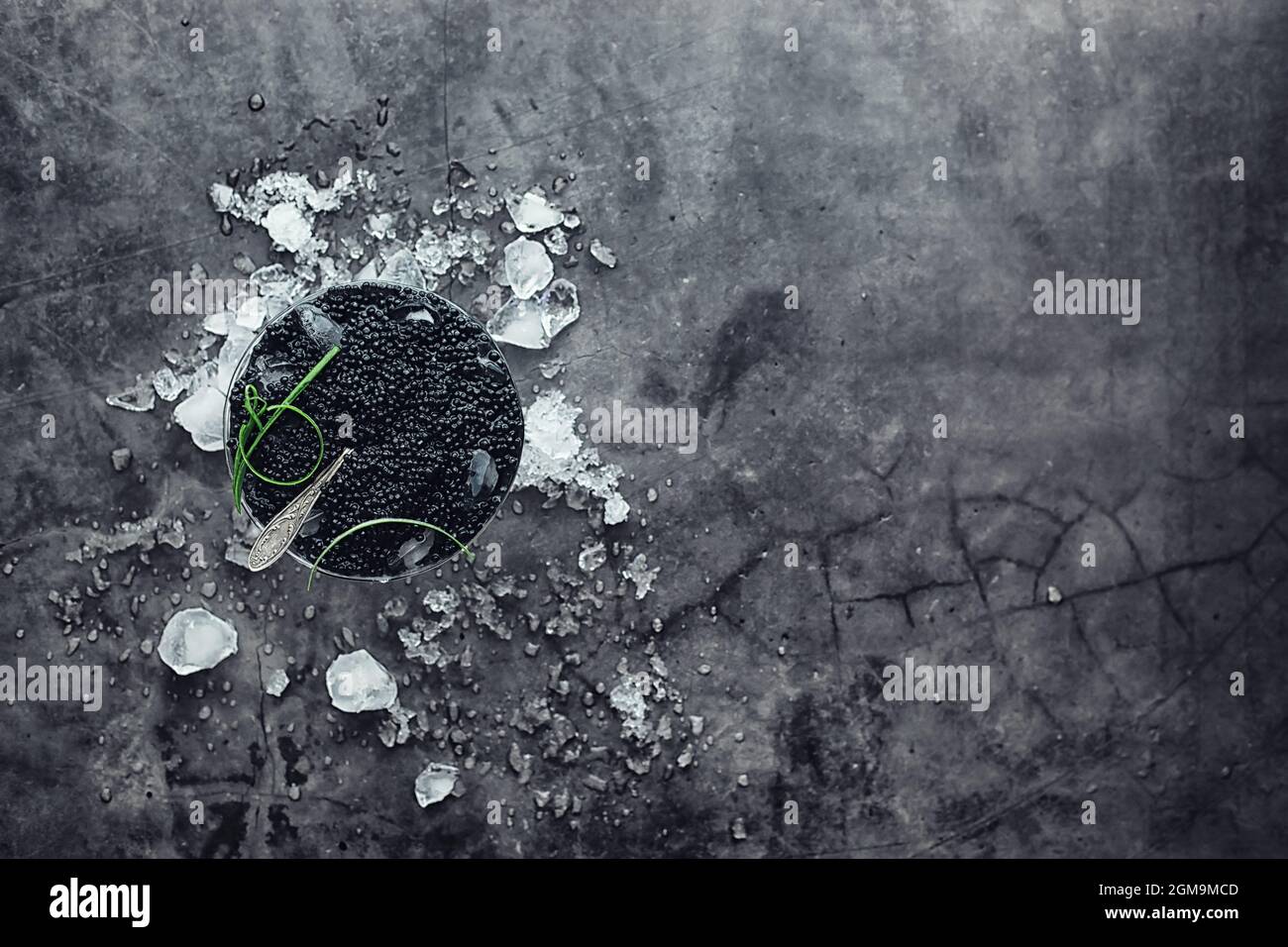 Fresh black fish roe. Beluga caviar served with ice with green Stock ...