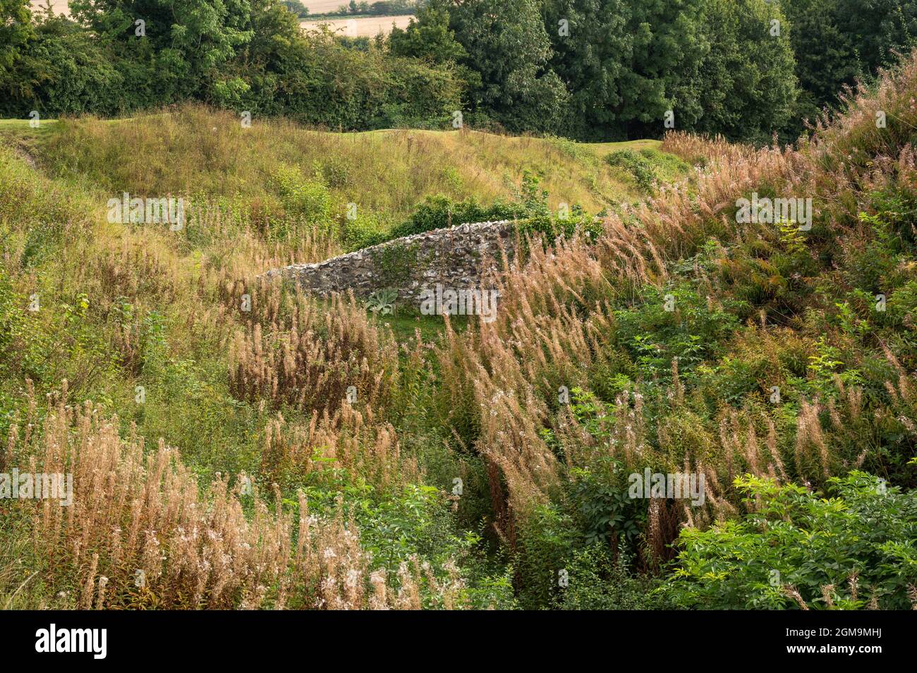 Castle Acre Castle and town walls are a set of ruined medieval defences ...