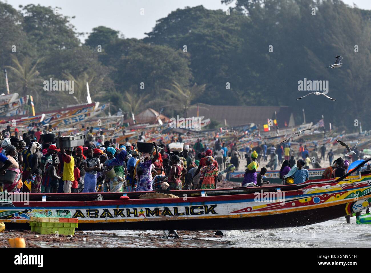 Tanji fishing village gambia hi-res stock photography and images - Alamy