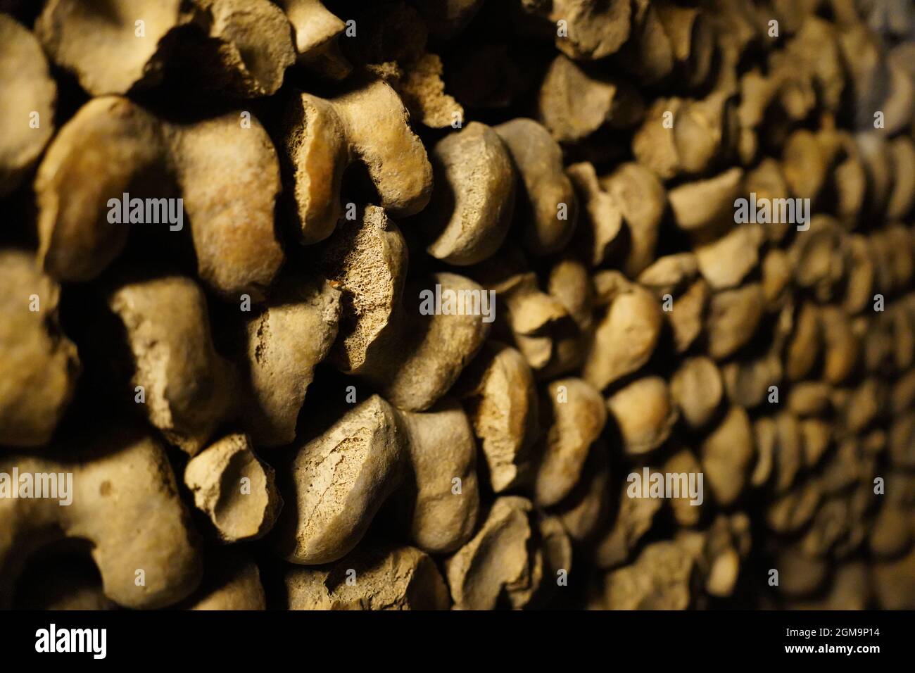 Scary spooky bones of dead people stacke in the underground ossuary ...