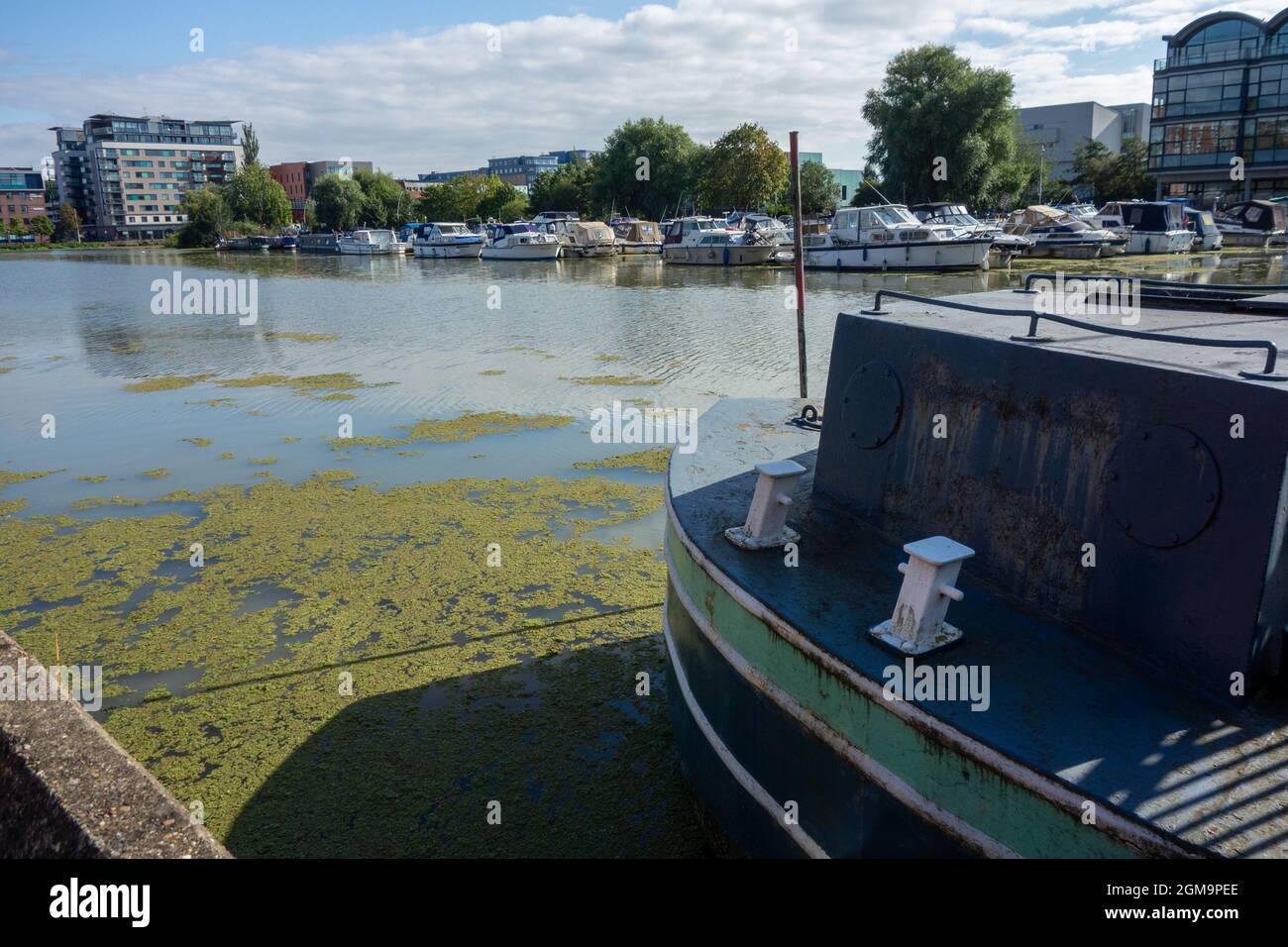 Brayford pool marina lincoln uk hi-res stock photography and images - Alamy