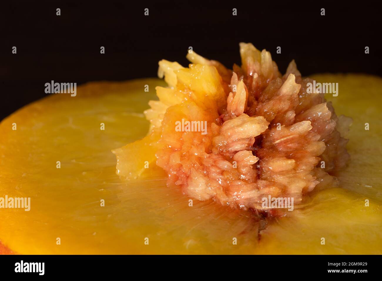 I cut a peach in half, but the seed has the flesh attached to it Stock ...
