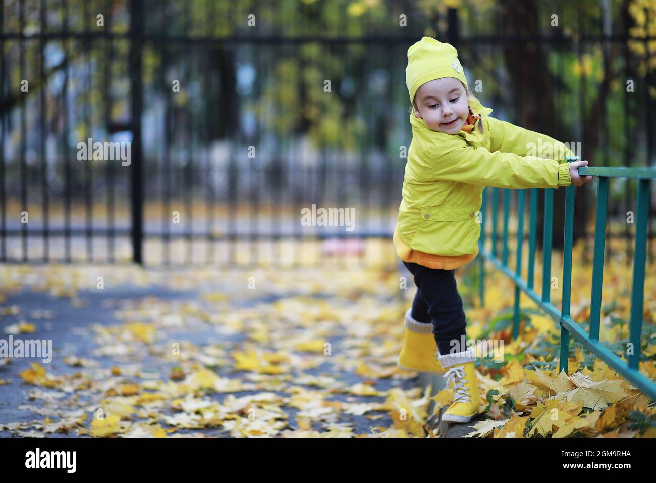 Children walk in the autumn park in the fall Stock Photo - Alamy