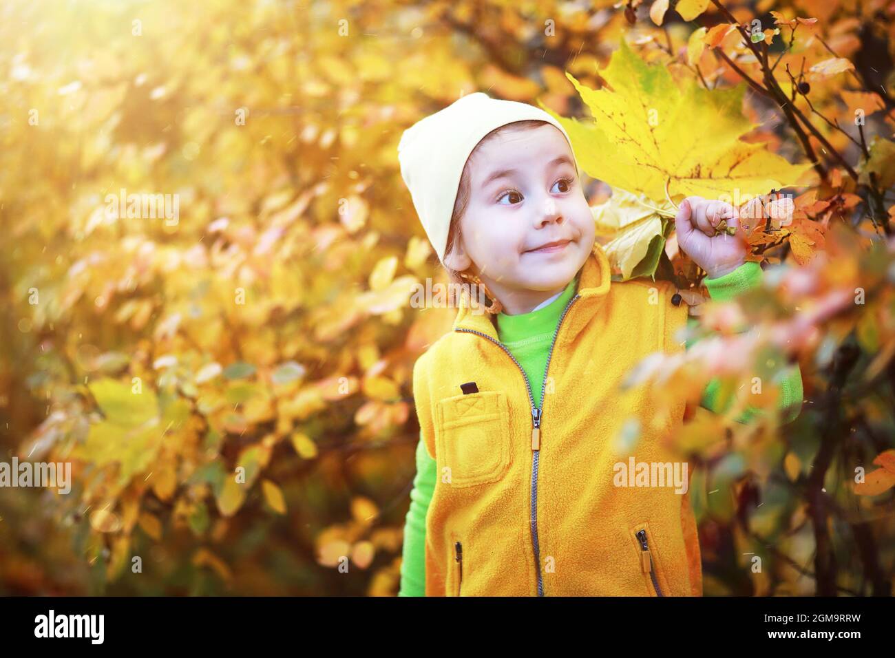Children walk in the autumn park in the fall Stock Photo - Alamy