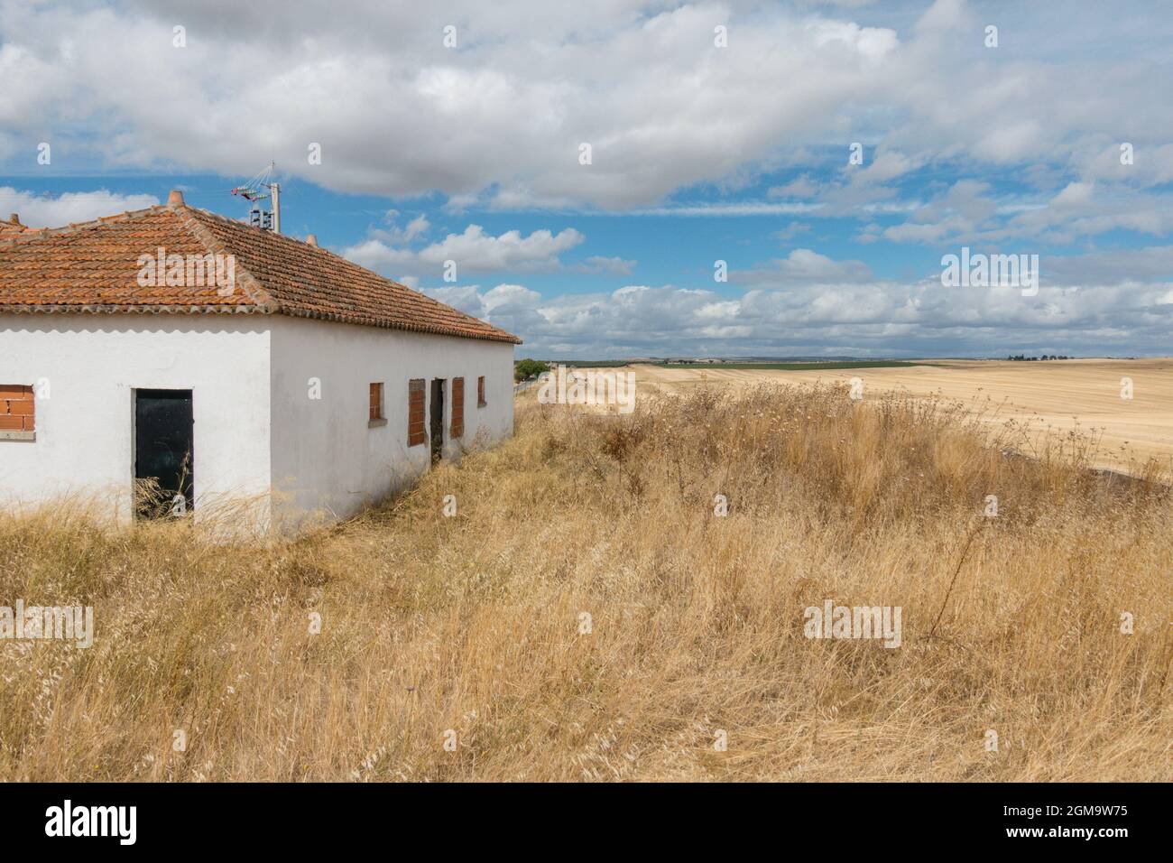 Dry wheat fields at Alentejo region, Portugal Stock Photo - Alamy