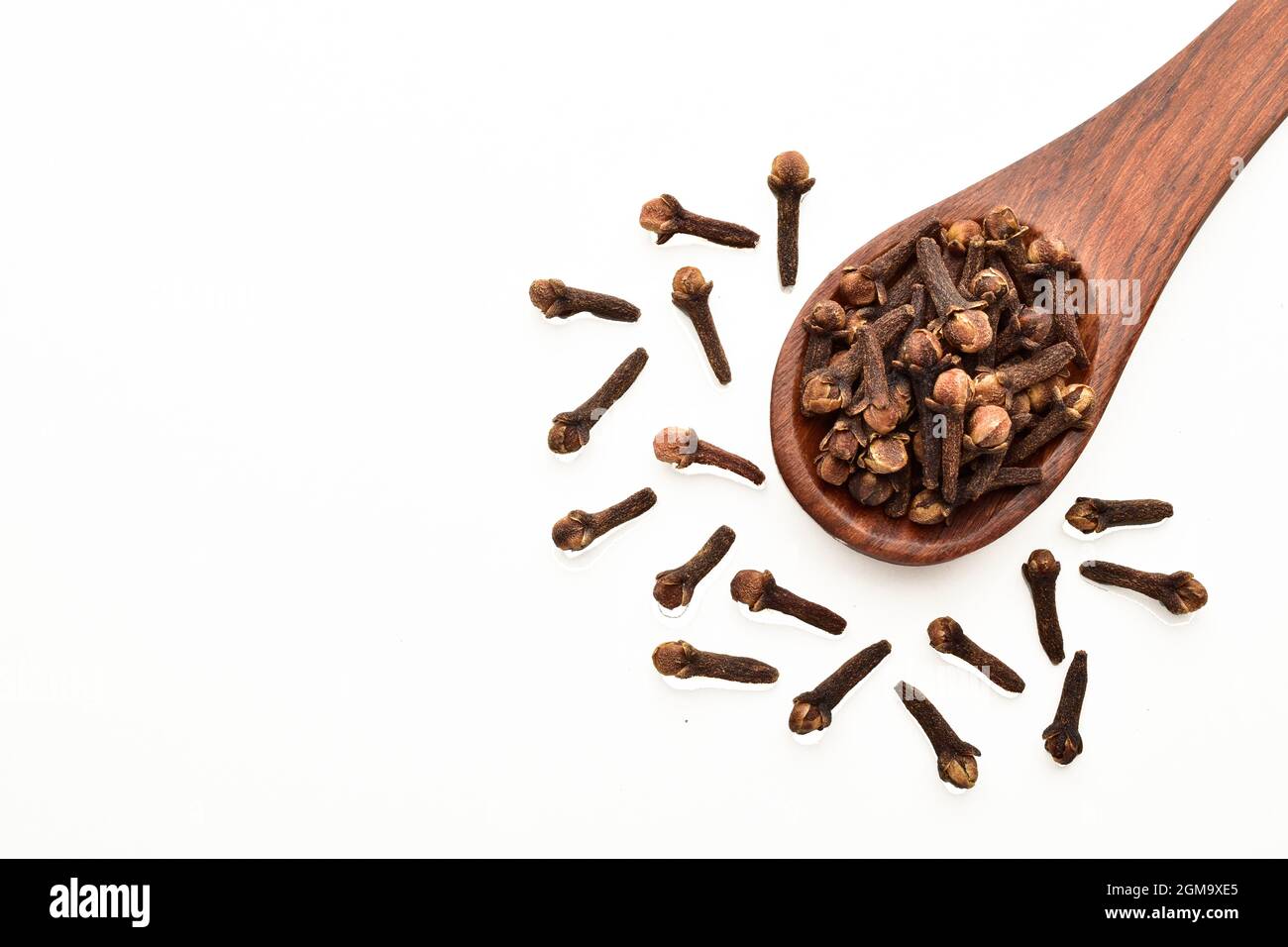Close-up of dry spice cloves isolated on white background with text ...