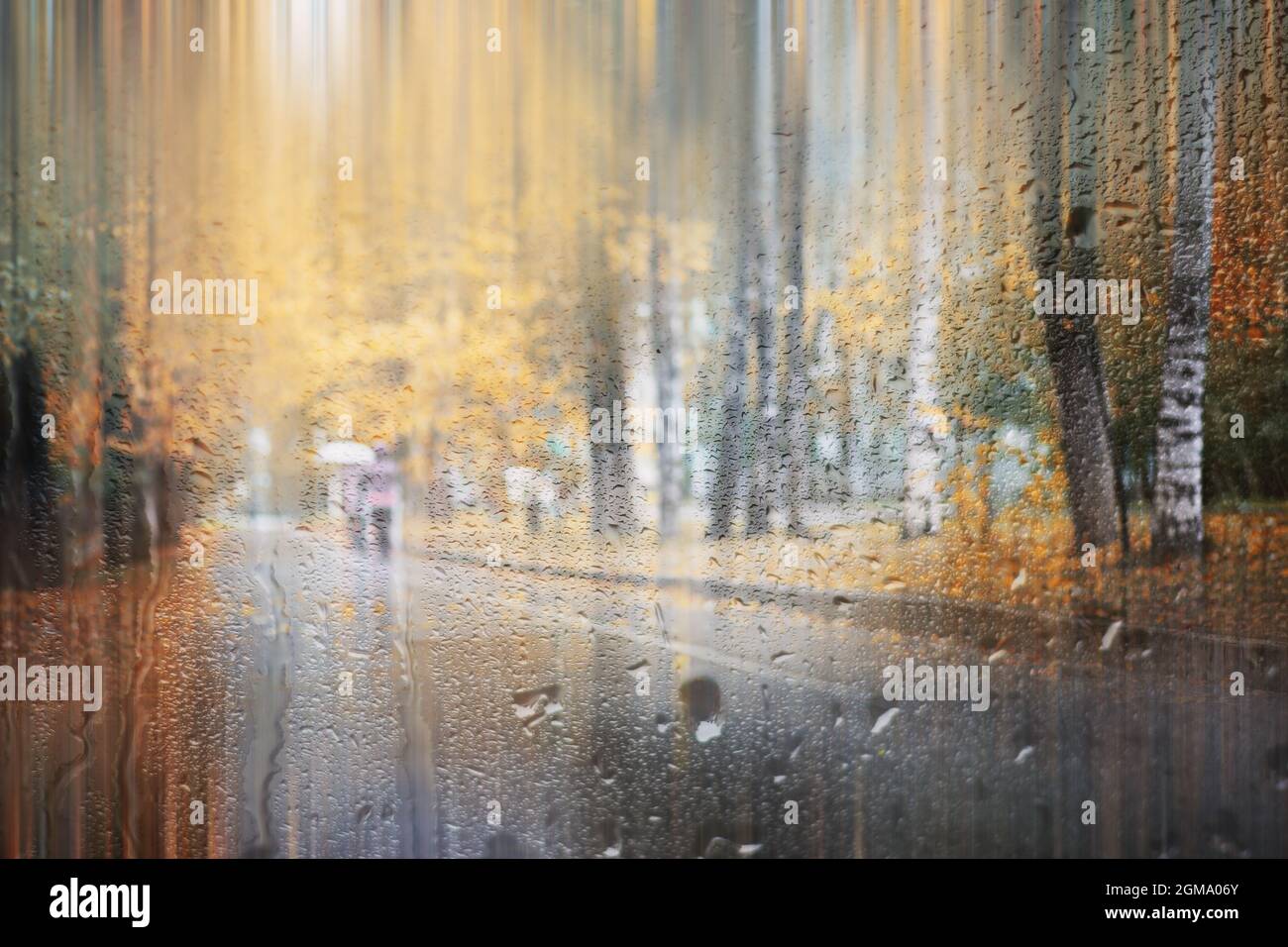 Background autumn rain in the park during the day Stock Photo - Alamy
