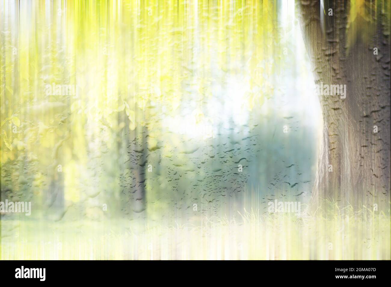 Background autumn rain in the park Stock Photo - Alamy