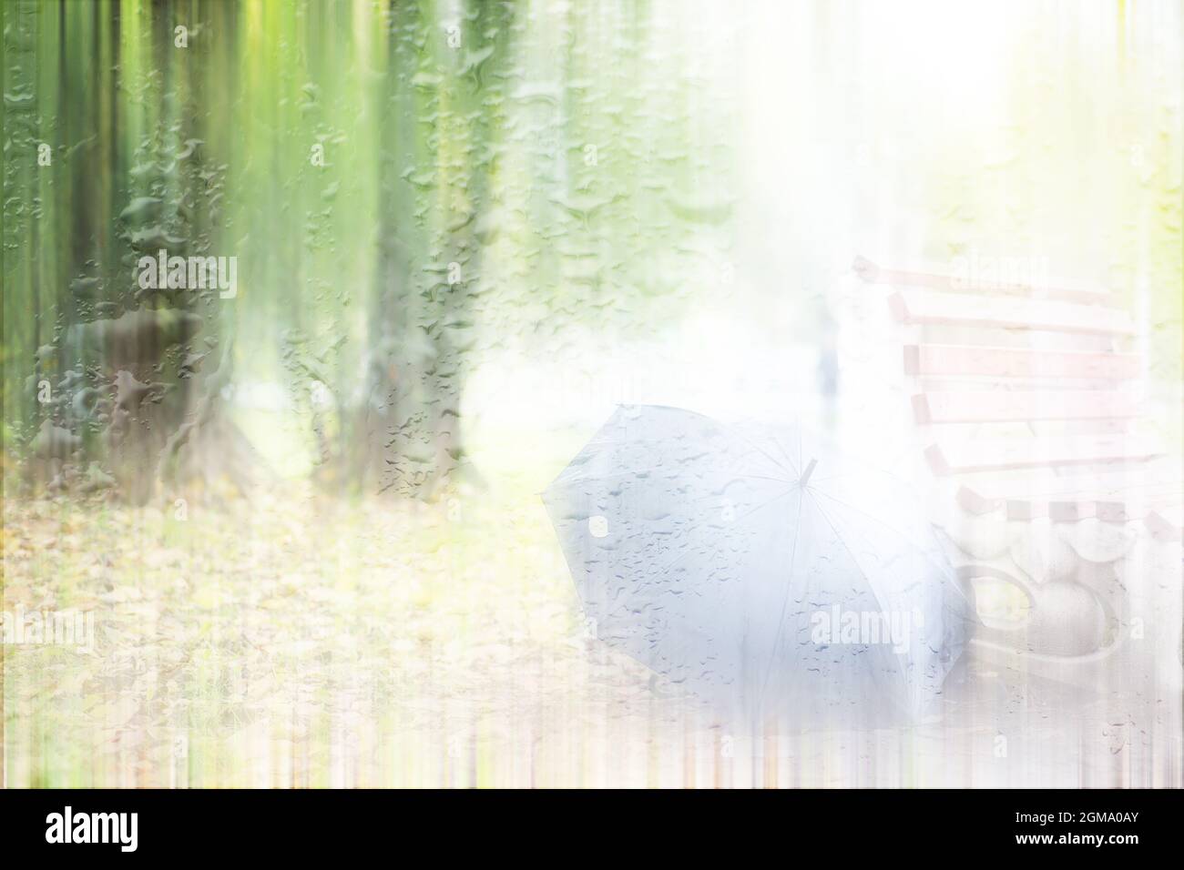 Background autumn rain in the park Stock Photo - Alamy