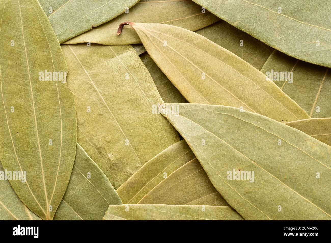 Bay leaves texture hi-res stock photography and images - Alamy